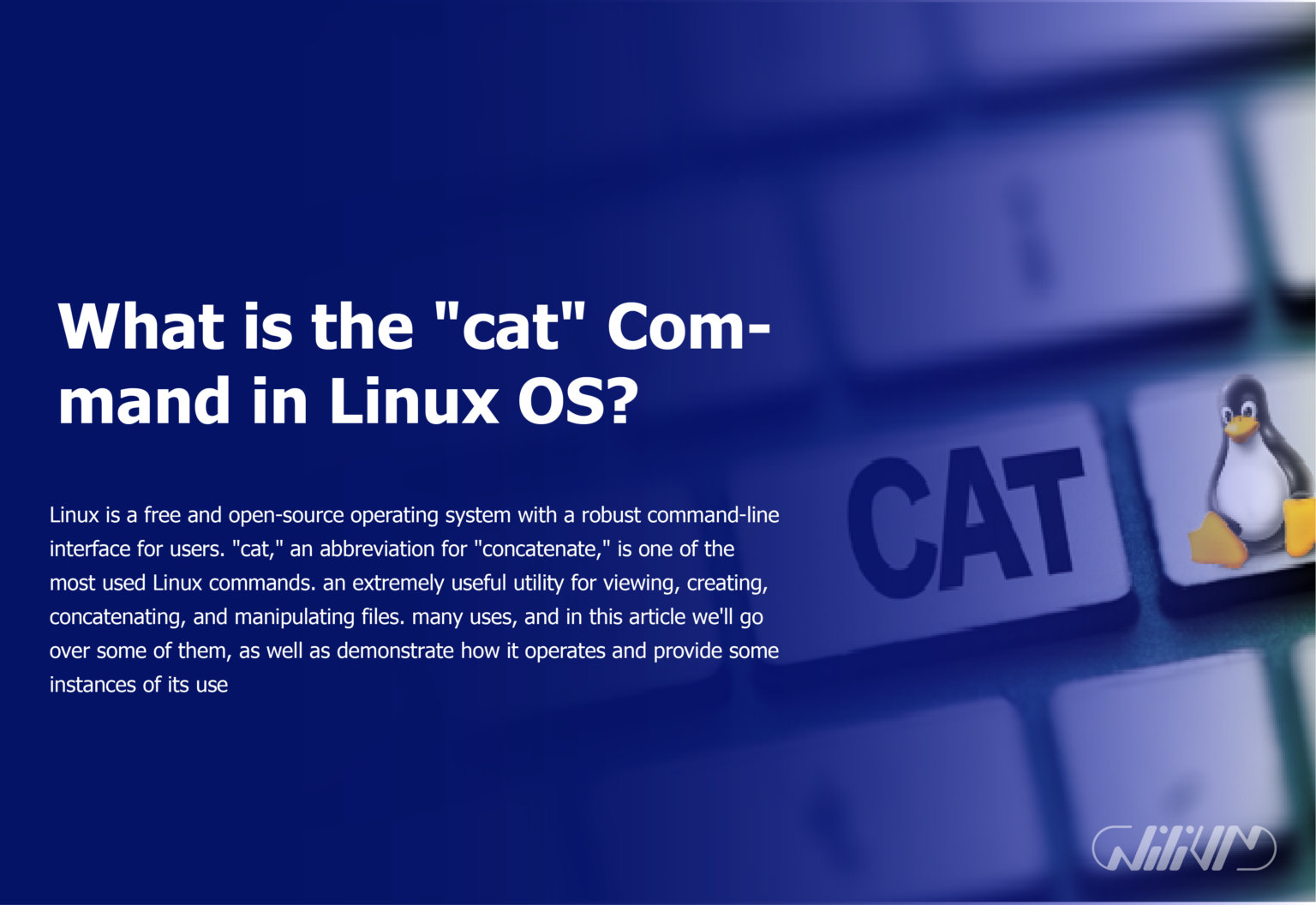 What Is The cat Command In Linux OS 