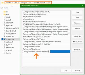 Install OpenSSL on Windows 10/11: A Step-by-Step Guide