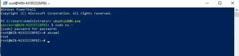 How to run Linux on Windows Server 2019 with WSL