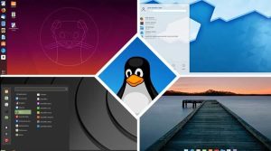 Top Ubuntu-Based Linux Distributions for Every Need